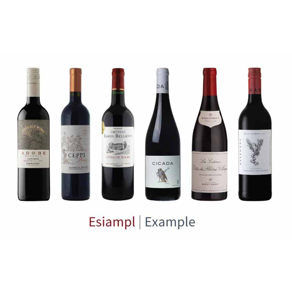 Blas ar Fwyd Website - Deiniol's Selection 6 Reds
