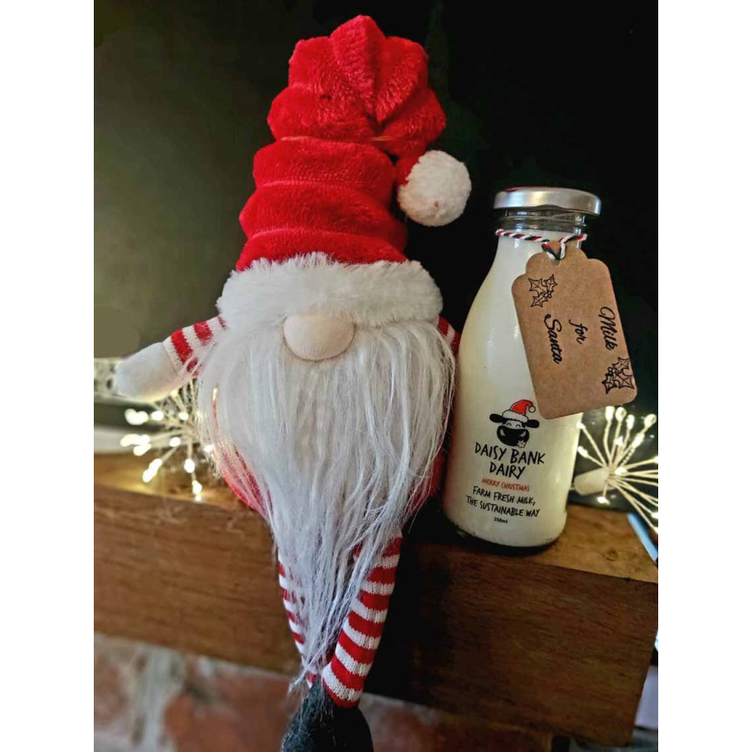 Blas ar Fwyd Website - Daisy Bank Dairy, Milk for Santa, 250ml